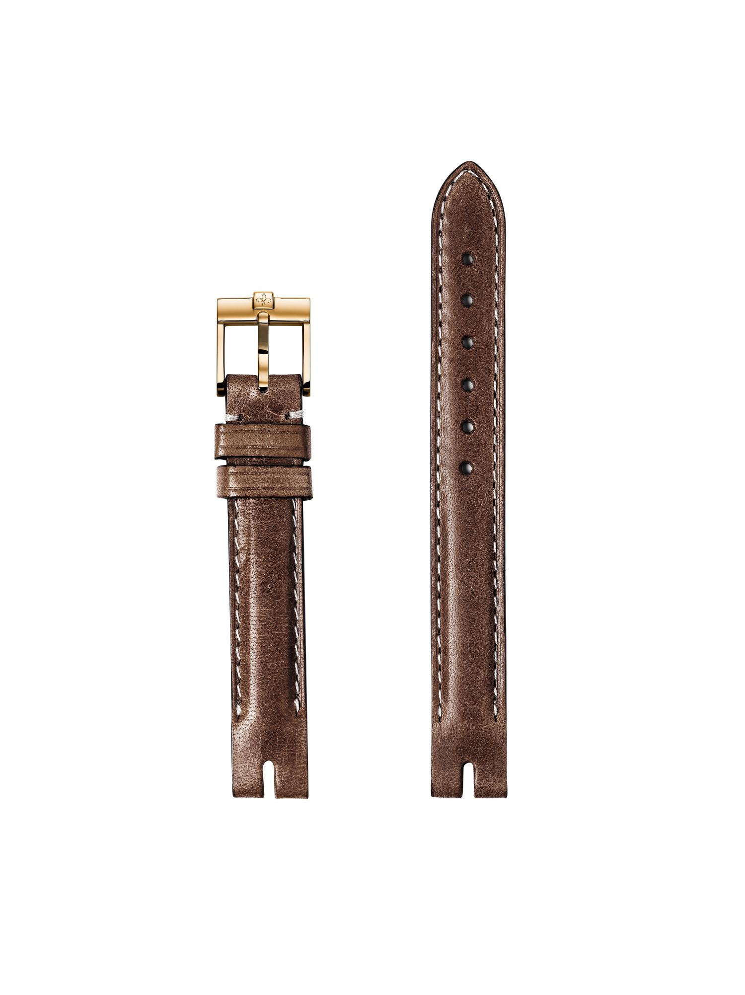 Equus Attelage Watch